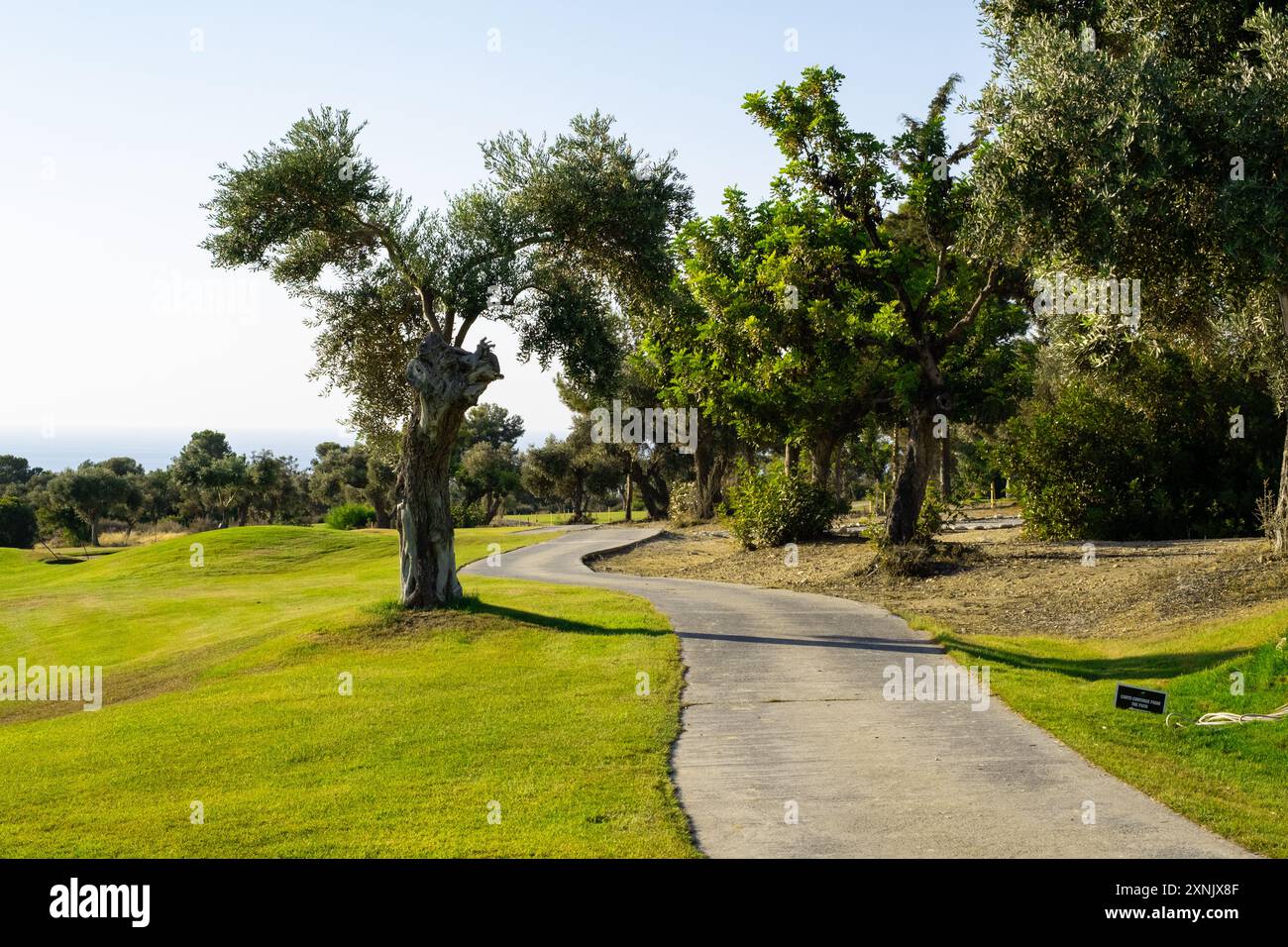 Golf teeing ground in golf course with sunrise background Stock Photo ...