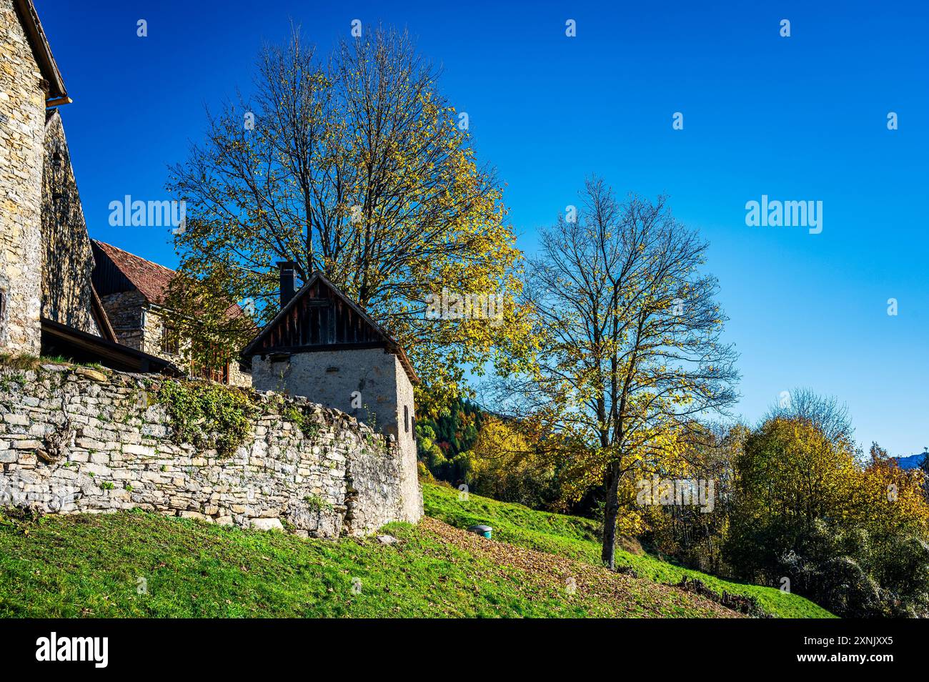 Val Pesarina immersed in autumn atmospheres. Among woods and the ...
