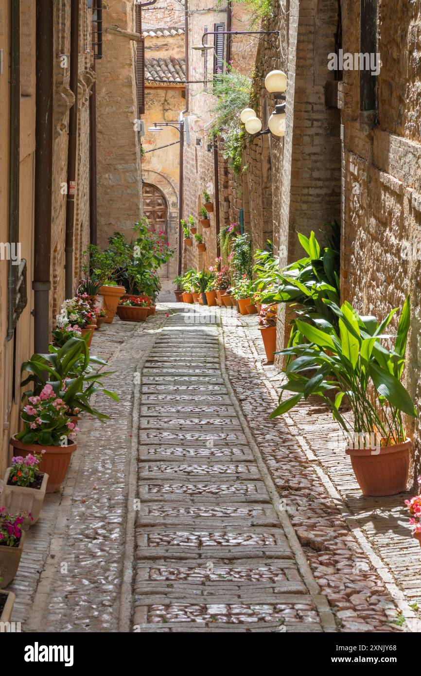 Water aisle hi-res stock photography and images - Alamy