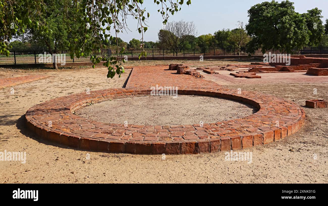 View of the ruins of the ancient Buddhist site of Sanghol, Fatehgarh ...