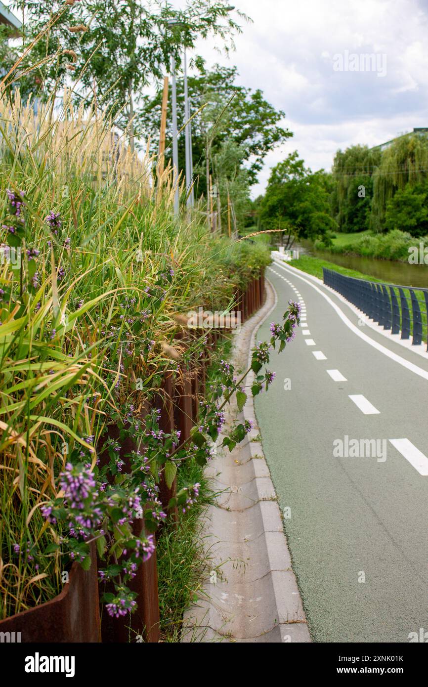 Downtown bike paths hi-res stock photography and images - Alamy