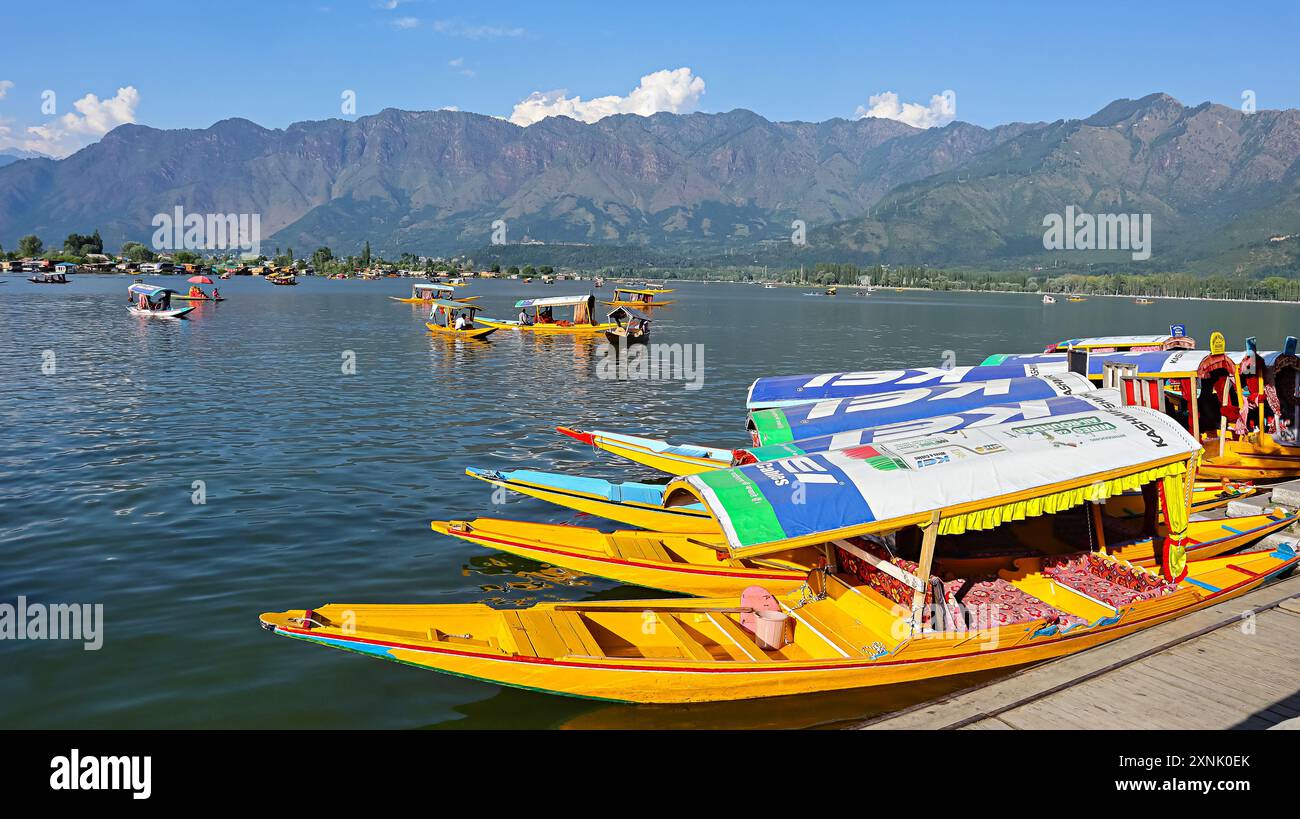 Shikara boats on Dal Lake, Srinagar, Jammu and Kashmir, India Stock Photo - Alamy