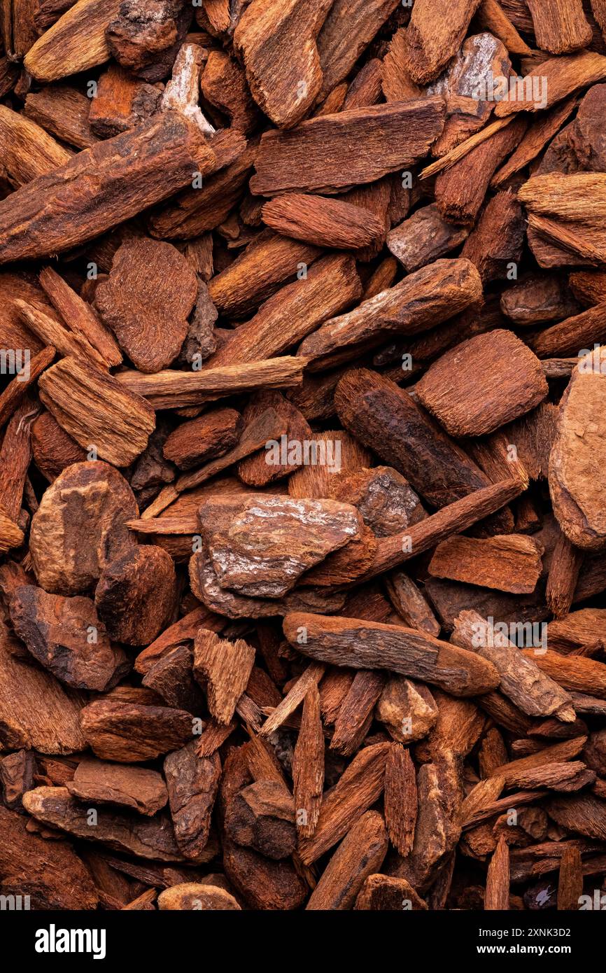 Quinquina hi-res stock photography and images - Alamy