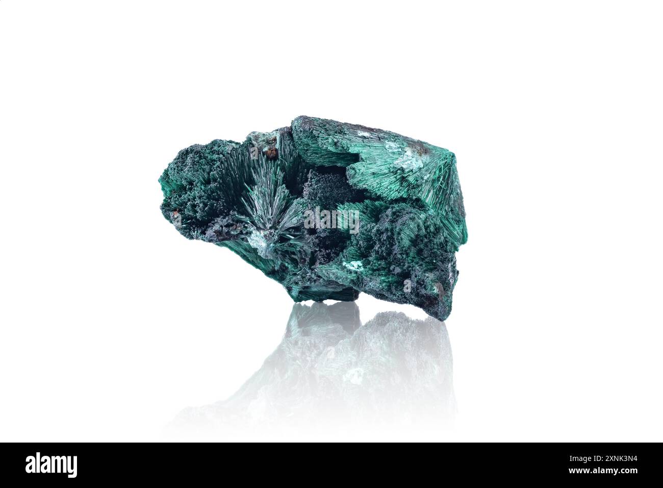 Velvet malachite hi-res stock photography and images - Alamy