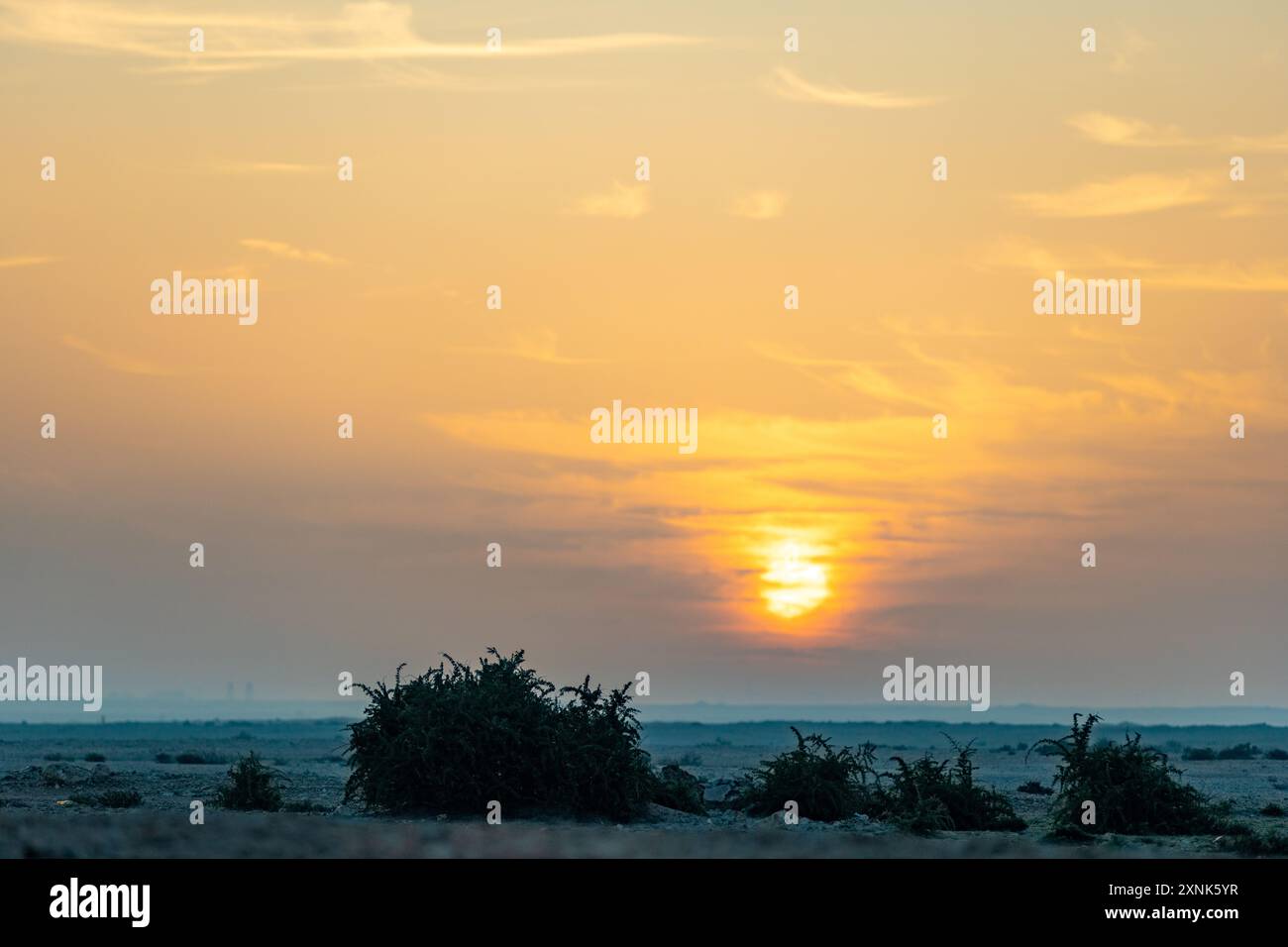 Desert horizon qatar hi-res stock photography and images - Alamy