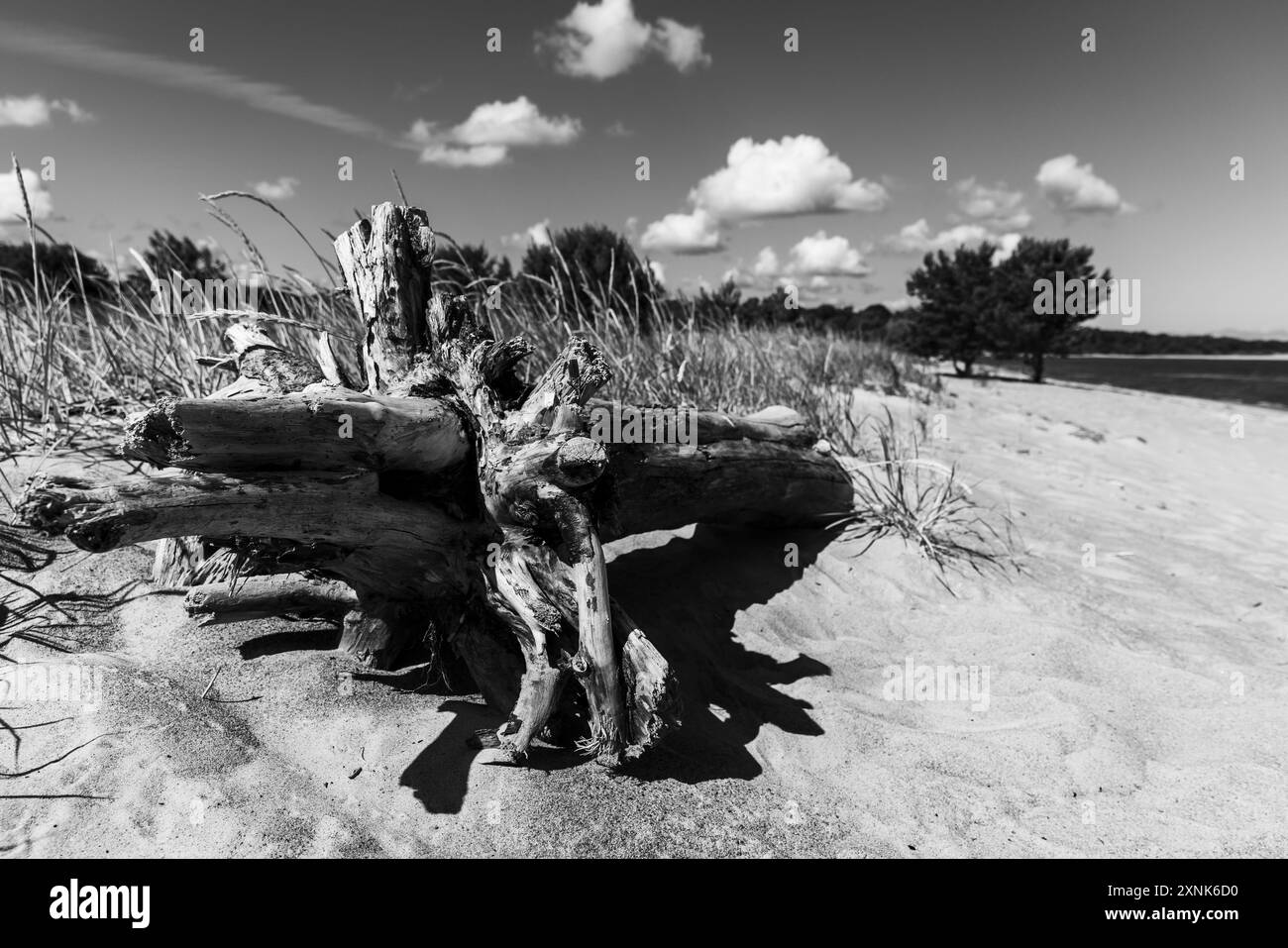 Vintage photo blue sky Black and White Stock Photos & Images - Alamy