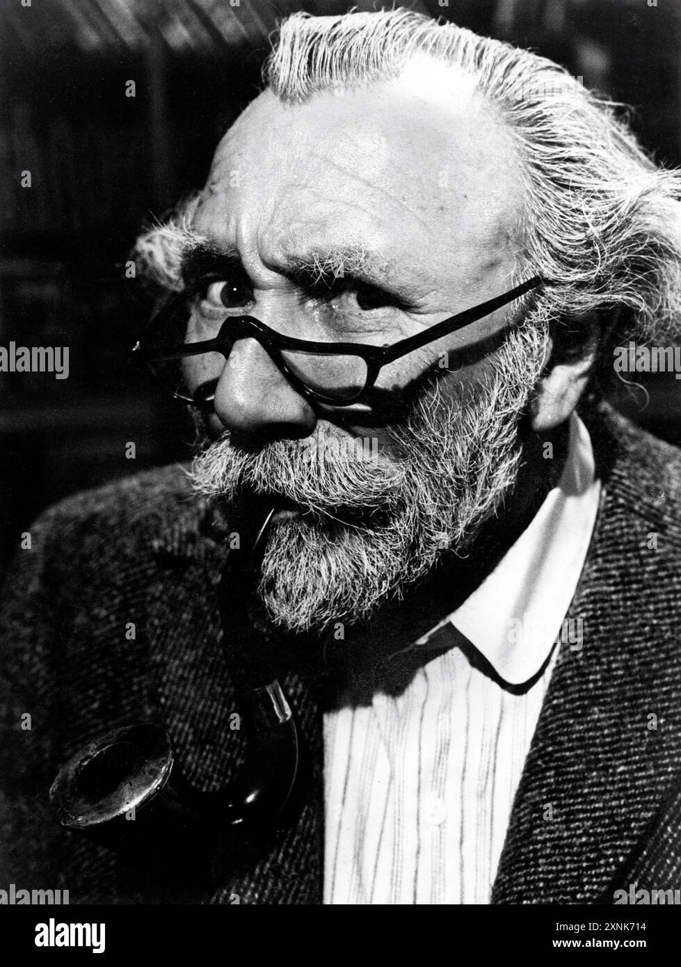 Jack woolgar hi-res stock photography and images - Alamy