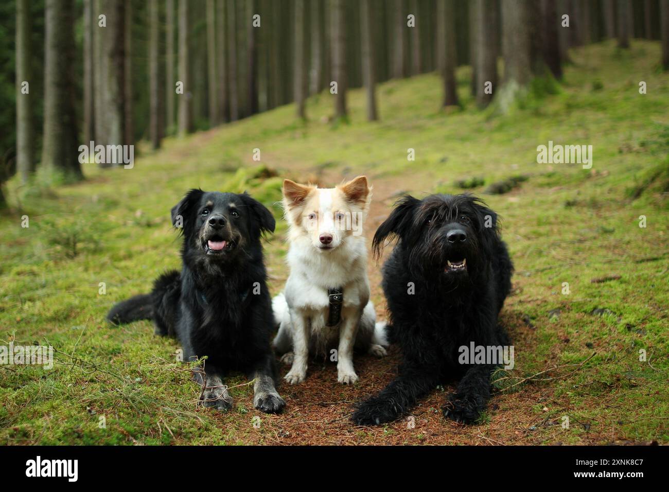 Adopted posing hi-res stock photography and images - Alamy