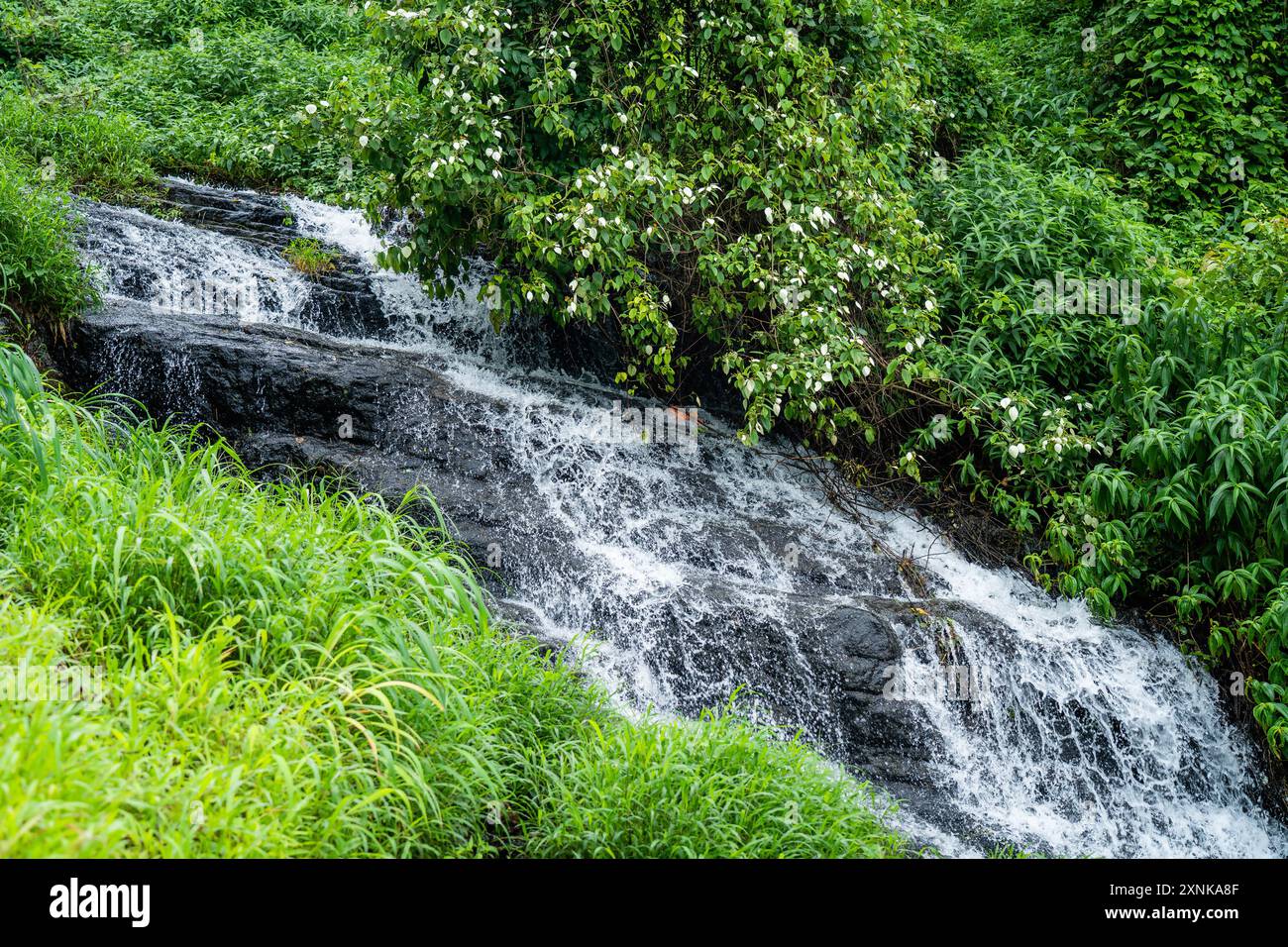 Paloor Kotta Falls is a waterfall in Kadungapuram village in Malappuram ...