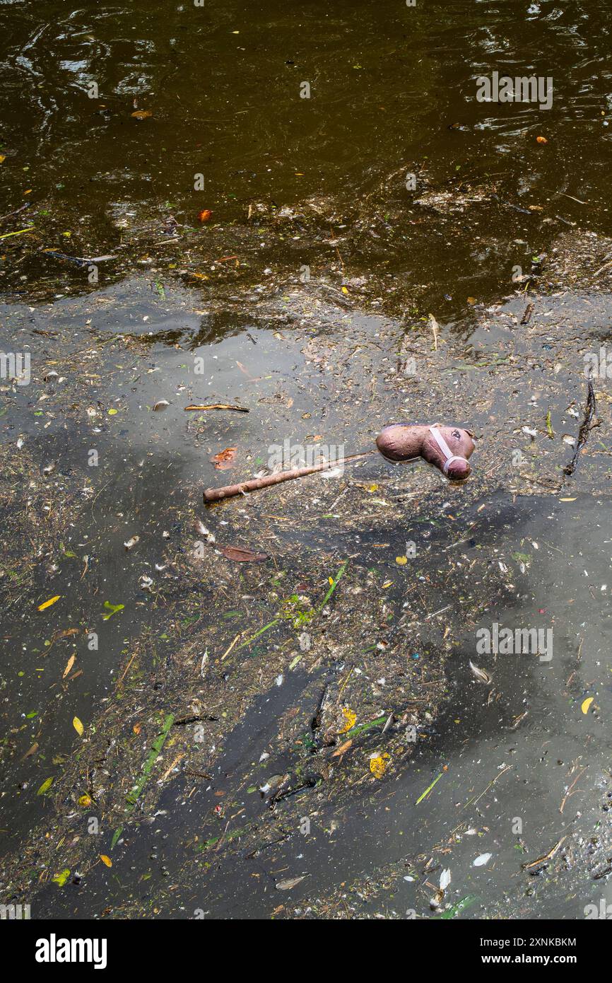A childs hobby stick horse floating in a lake in the UK Stock Photo - Alamy