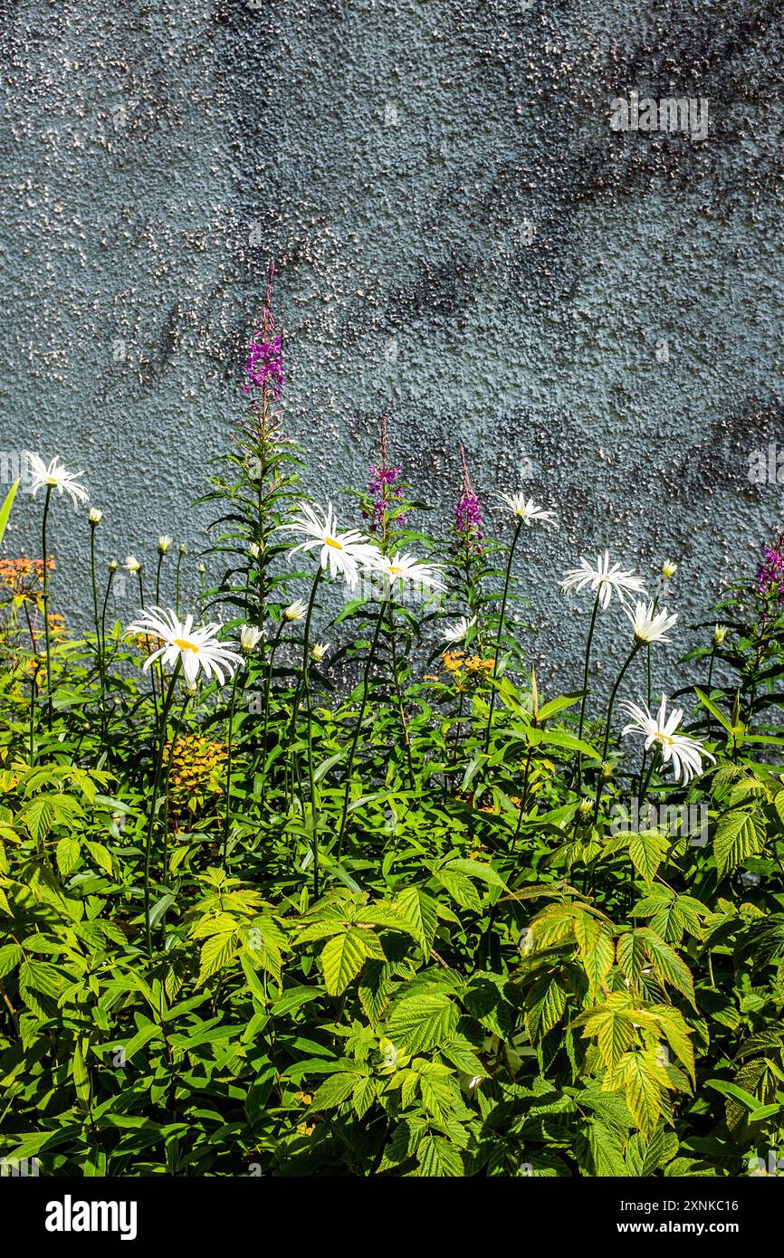 Roadside path hi-res stock photography and images - Alamy