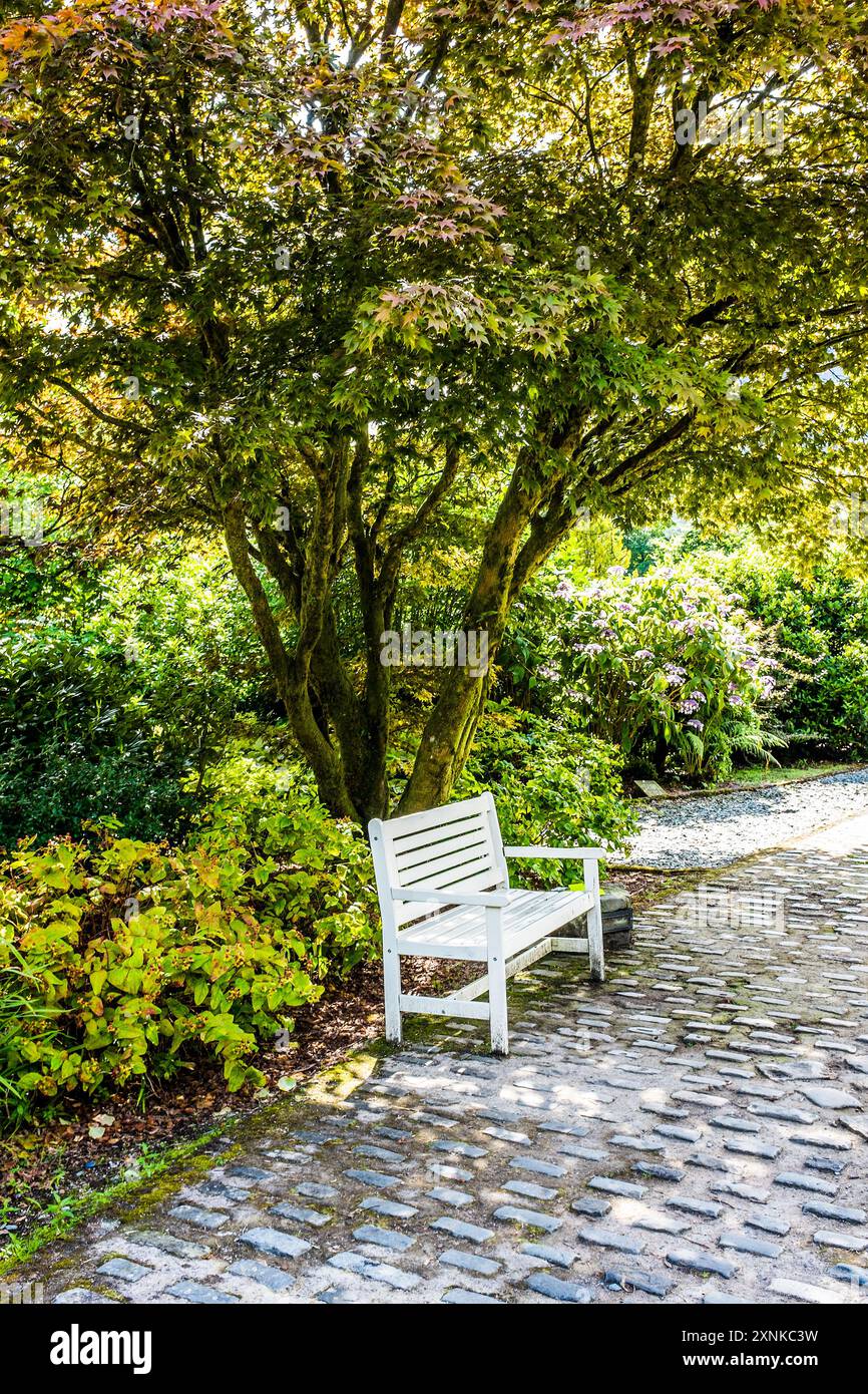 Wayside bench to rest a while Stock Photo - Alamy