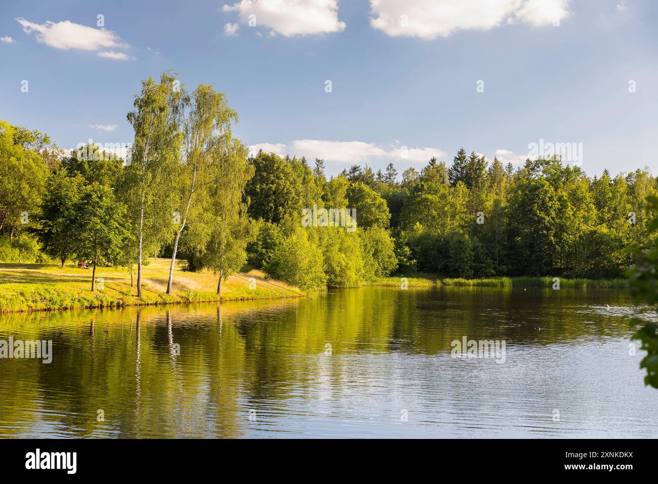 Badesee in Grillenburg, Tharandter Wald, Sachsen, Deutschland ...