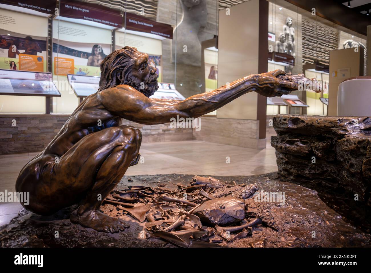 Prehistoric human ancestor hi-res stock photography and images - Alamy