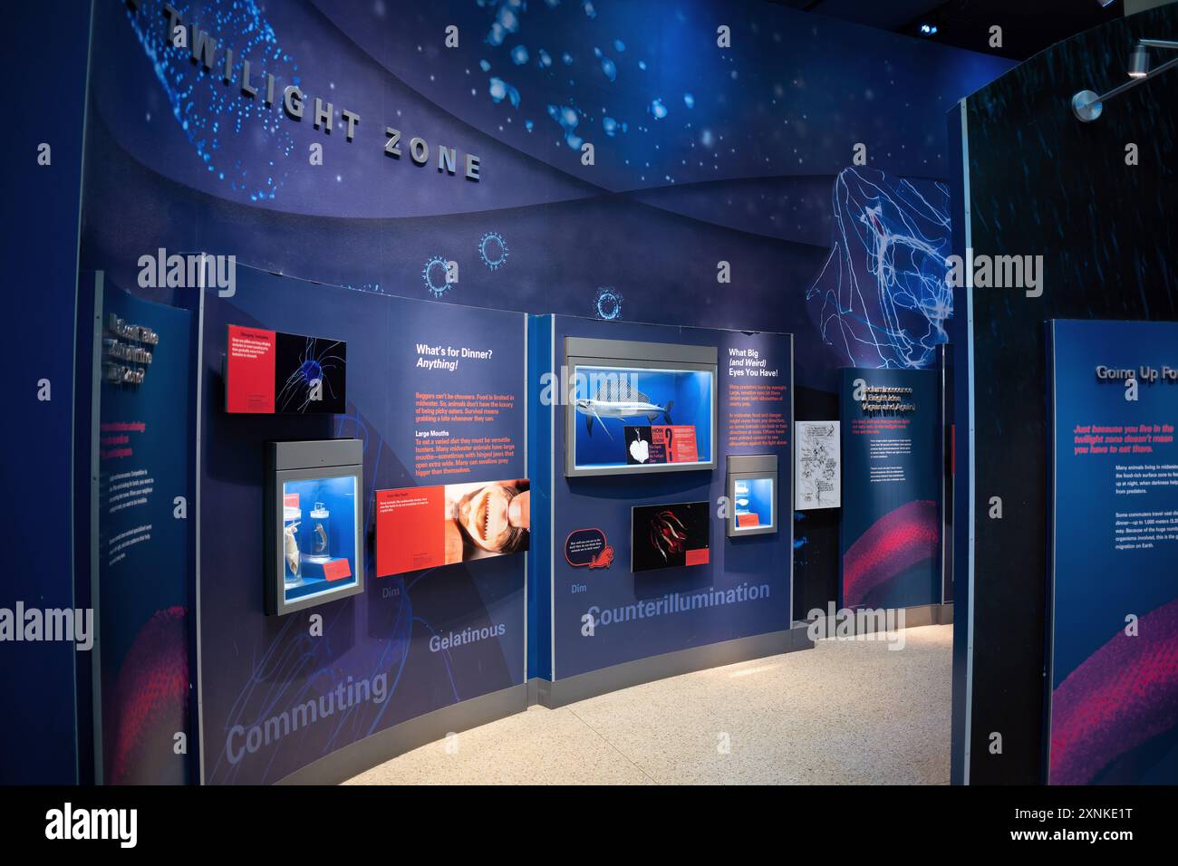 Interactive ocean museum exhibit hi-res stock photography and images ...