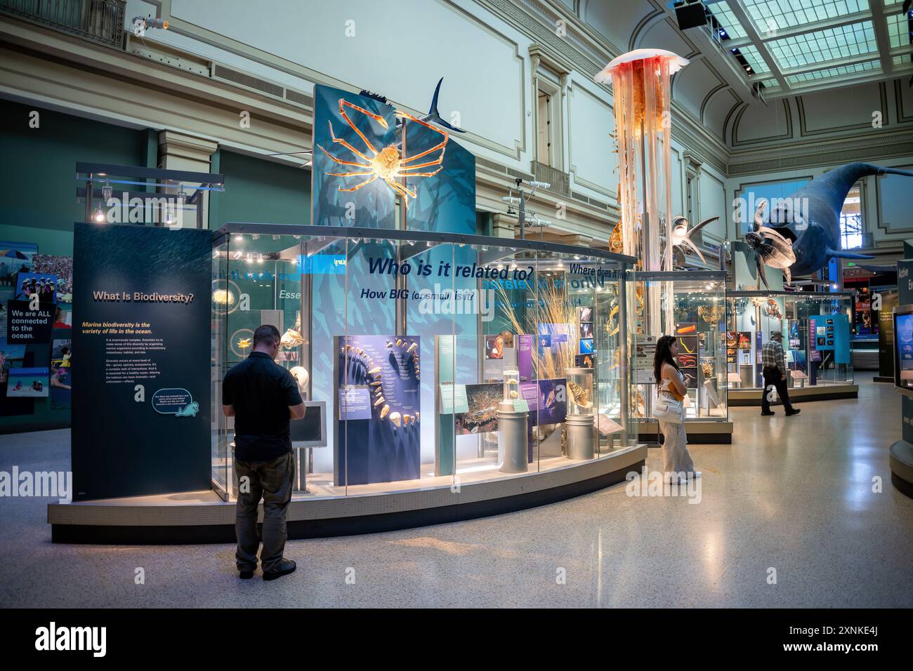 Interactive ocean museum exhibit hi-res stock photography and images ...