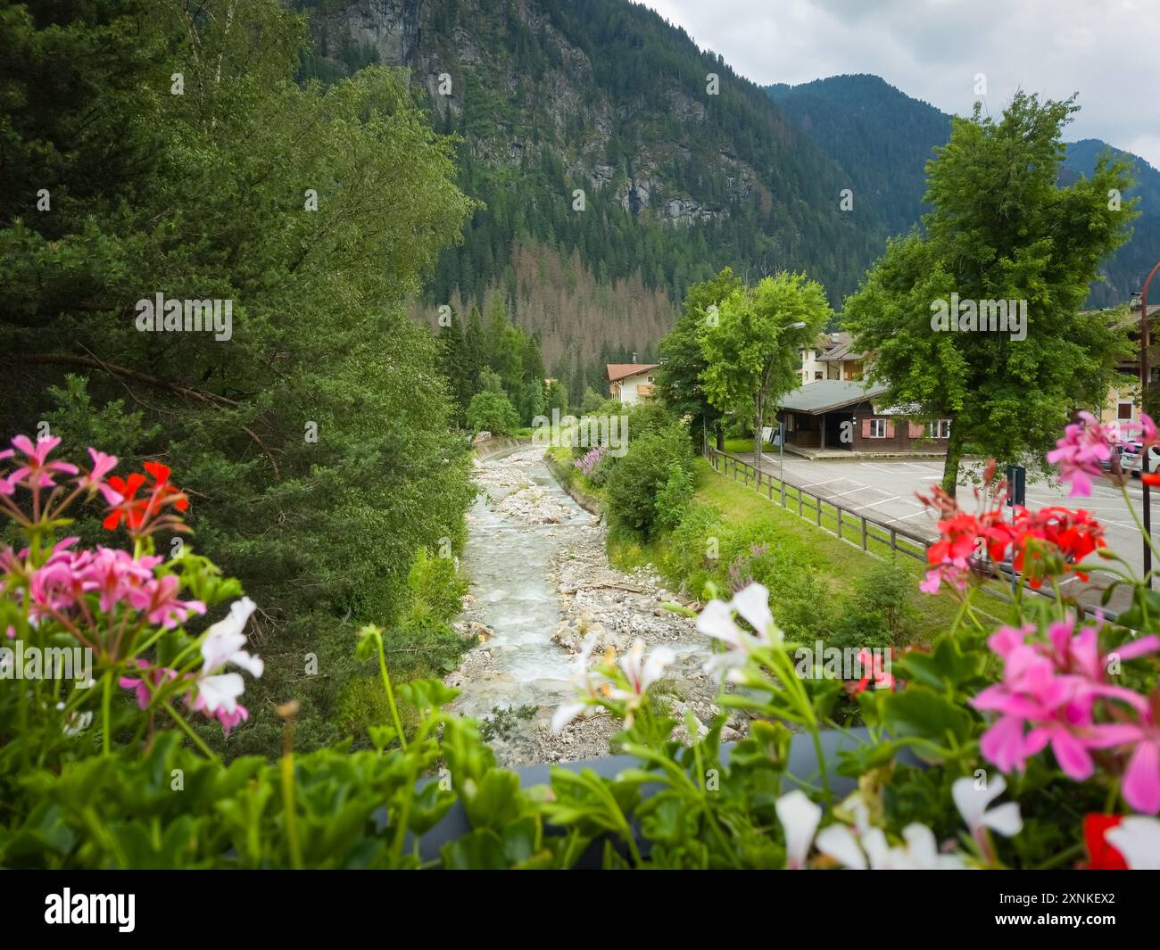 A photo of the Avisio stream near Canazei - Italy Stock Photo - Alamy