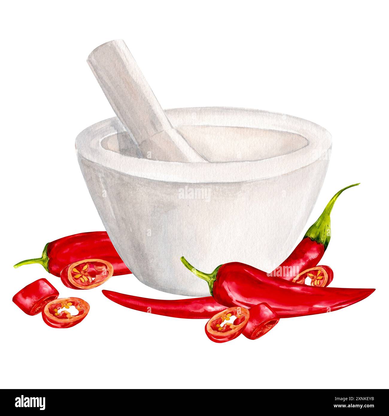 Grind red chili pepper in a mortar made of white granite. Watercolor ...