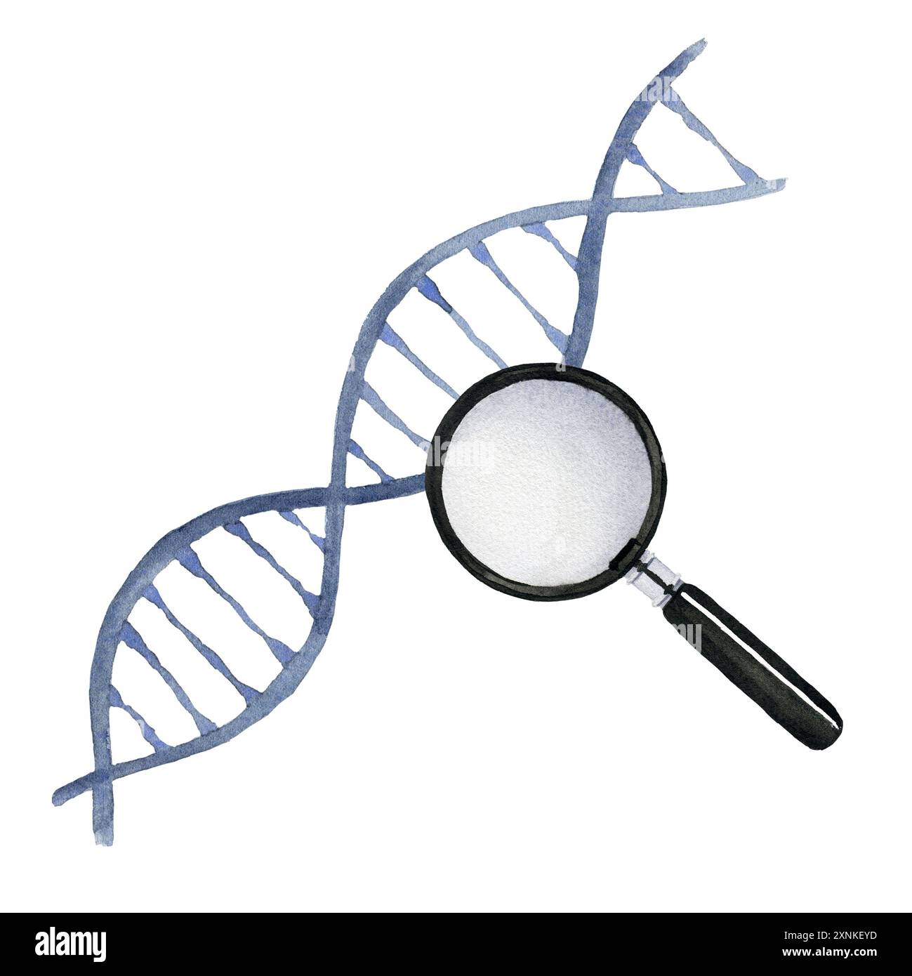 Watercolor DNA gene and magnifying glass. Hand drawn illustration ...