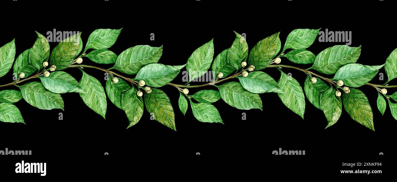 Laurel seamless pattern. Horizontal border with green leaves. Hand ...