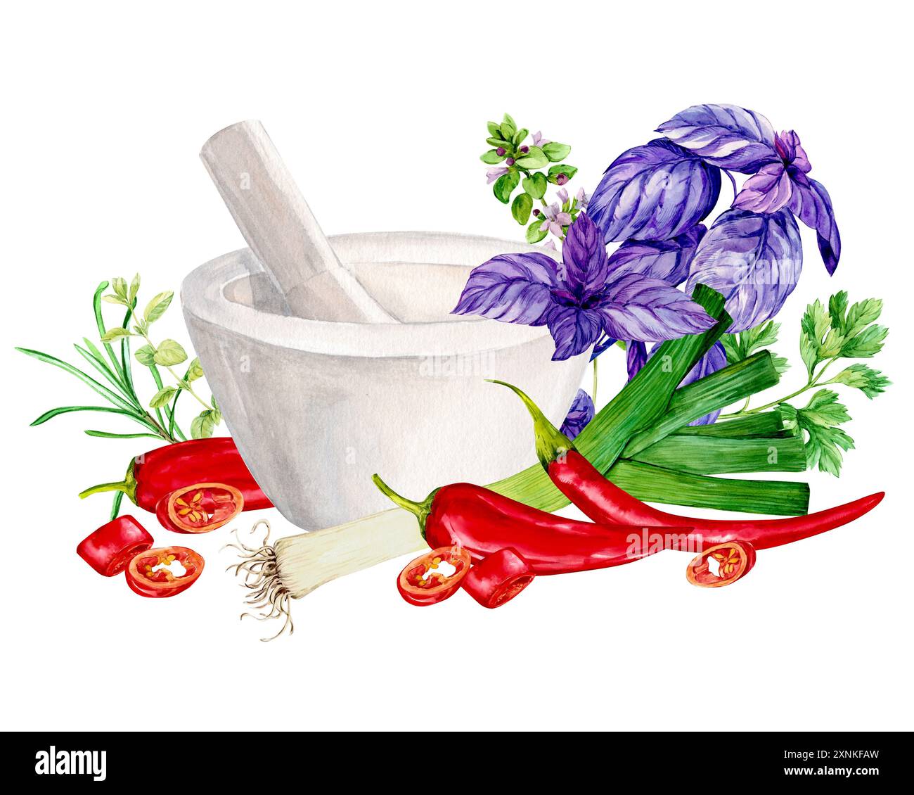 Spicy herbs and white granite mortar. Watercolor illustration for the ...