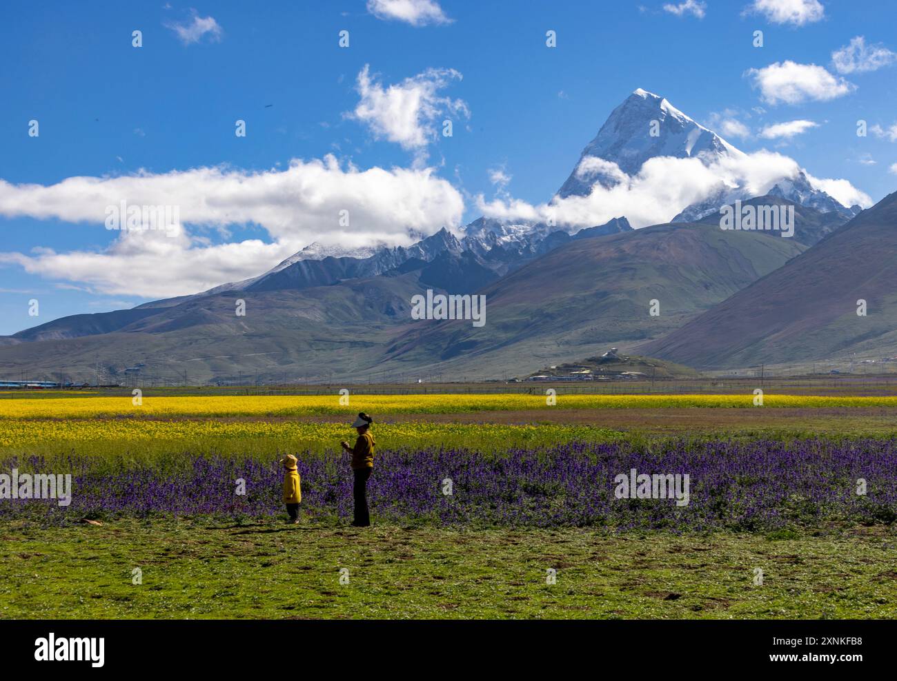Lhasa. 1st Aug, 2024. This photo taken on Aug 1, 2024 shows the scenery ...
