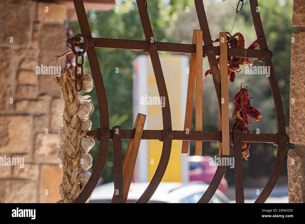 Hot chilli peppers and hot garlic tied in bunches, drying on a ...