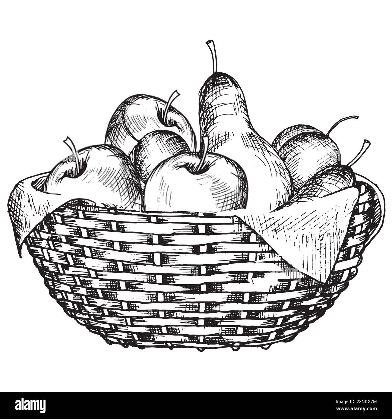 Basket with pears and apples. Graphic illustration, hand drawn with ...