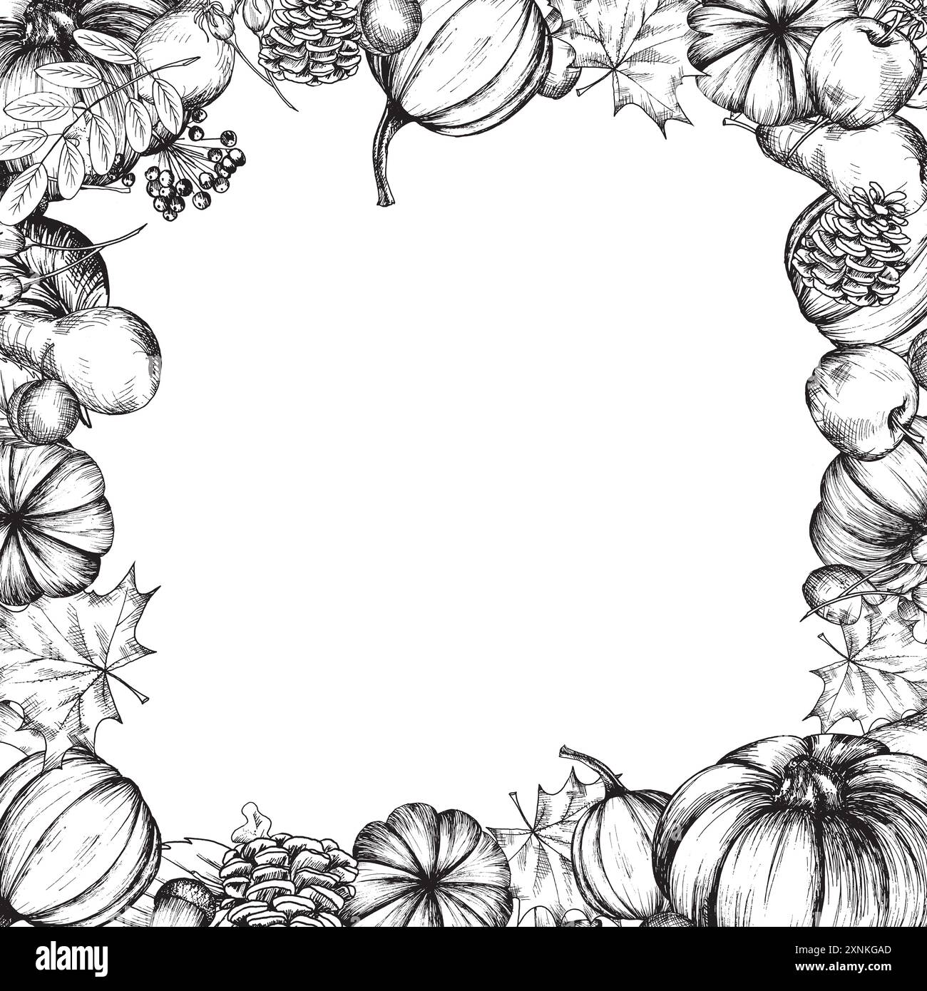 Autumn frame with flowers and pumpkins. Graphic illustration, hand ...