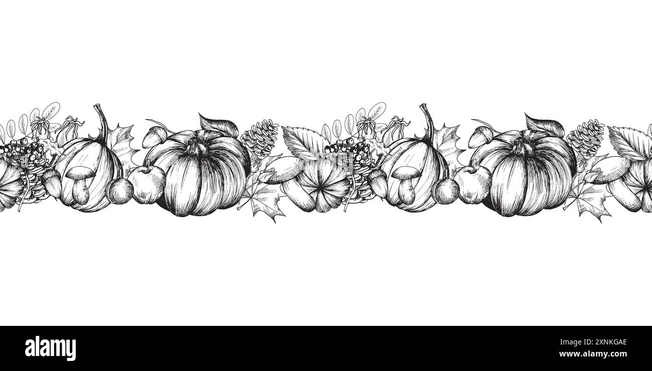 Black And White Pumpkin Borders