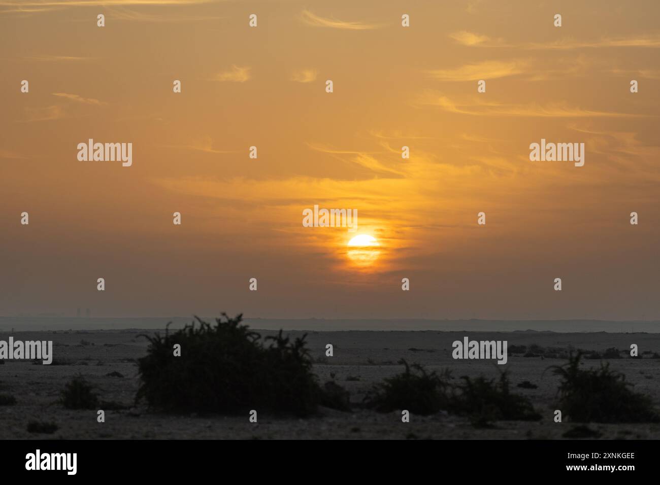 Sunrise in Qatar desert. Panoramic view of morning desert Stock Photo ...