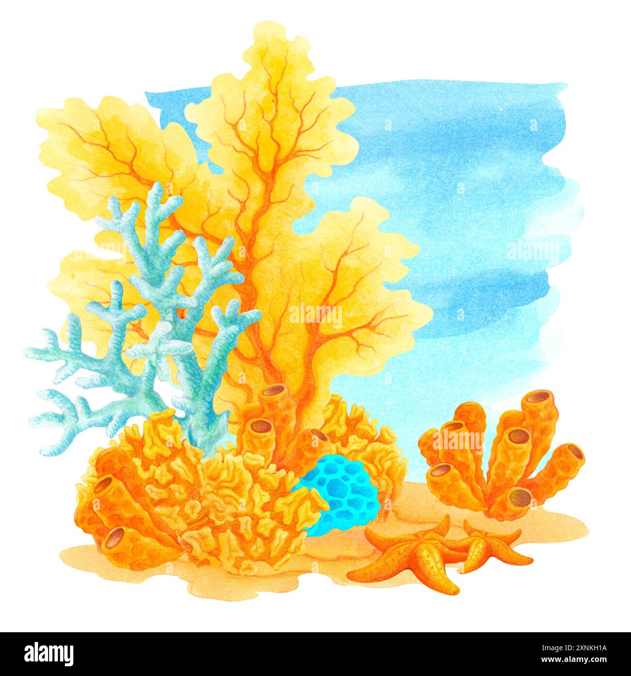 Underwater world composition with sea animals. Watercolor coral, sea ...
