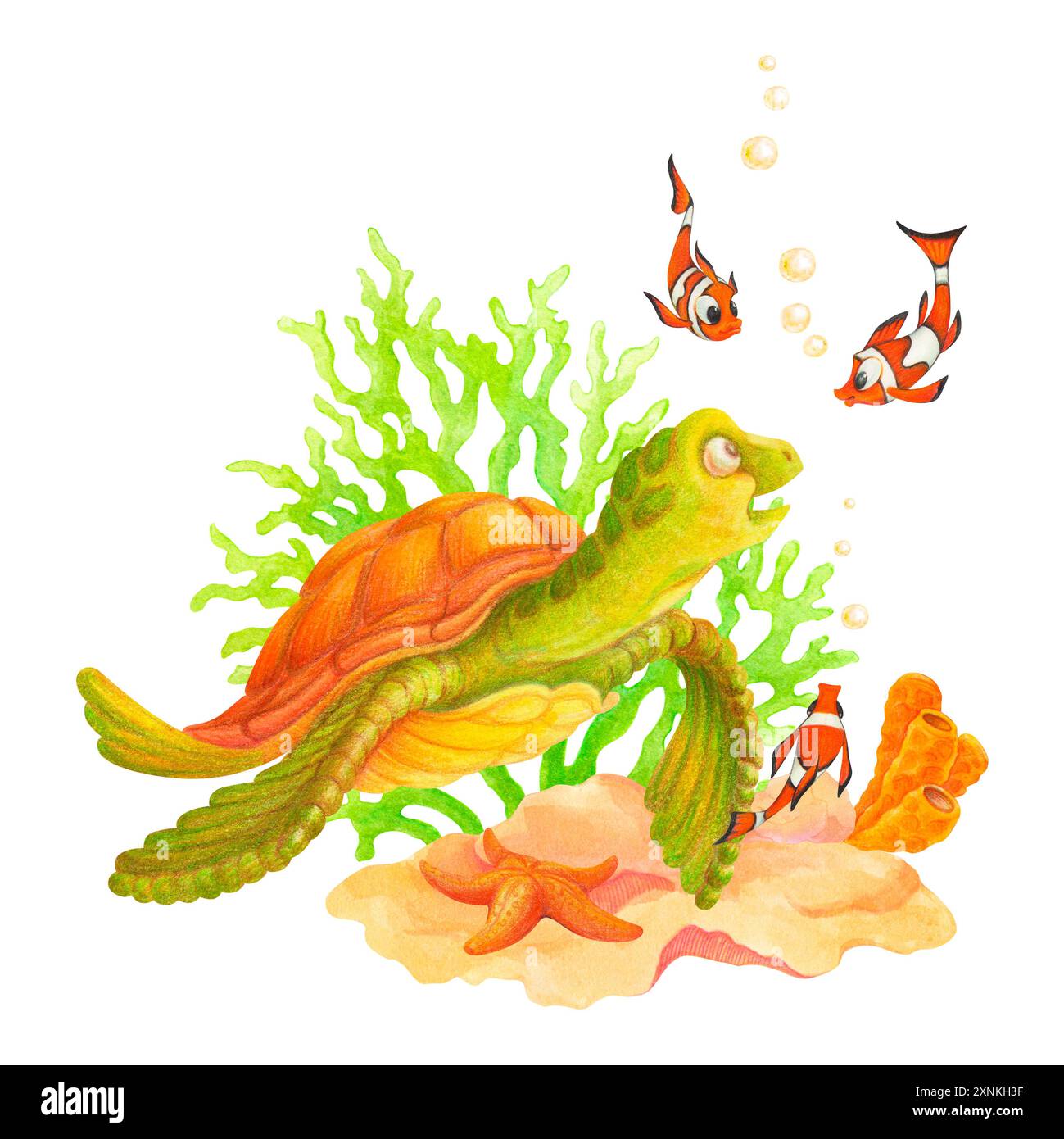 Underwater world with sea turtle, clown fish, starfish, corals, algae ...