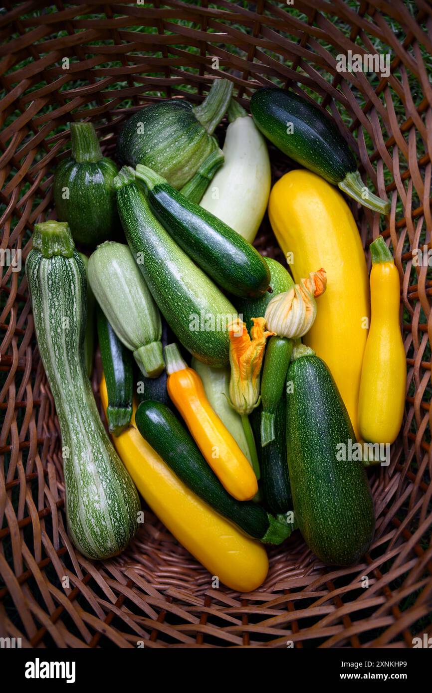 Wicker basket with fresh different kind zucchini and squash. Aesthetic ...