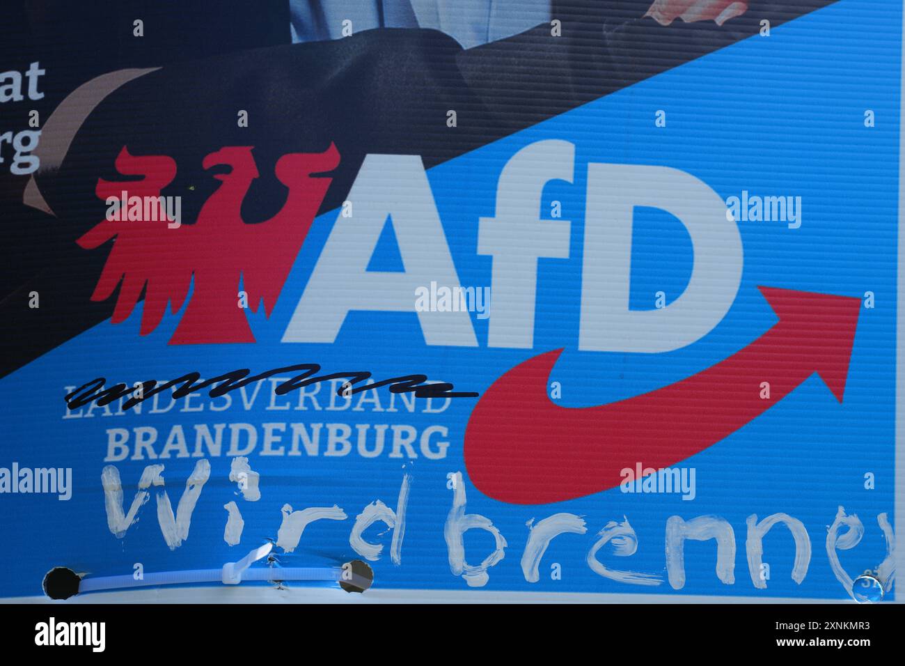 Afd GER, Deutschland, 20240801,Wahlplakat, AfD in Brandenburg *** Afd ...
