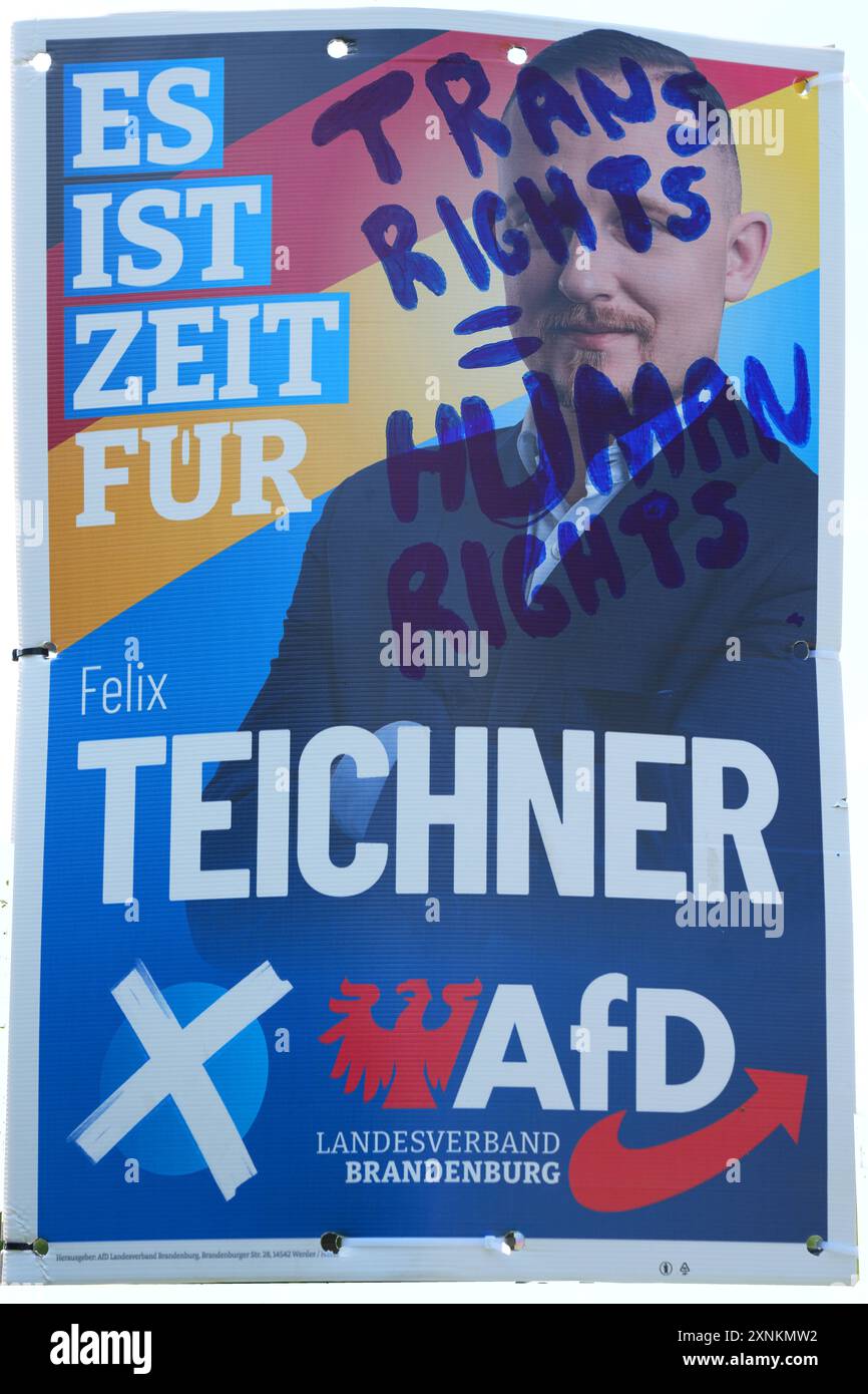 Afd GER, Deutschland, 20240801,Wahlplakat, AfD in Brandenburg, Teichner ...