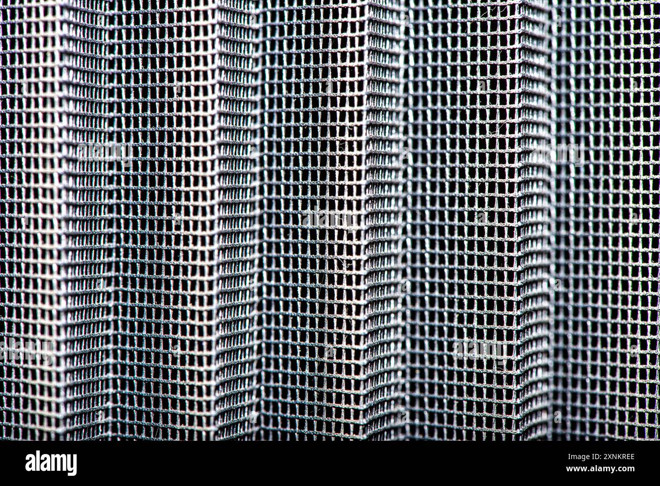 A macro photo featuring the intricate design and texture of a fly ...