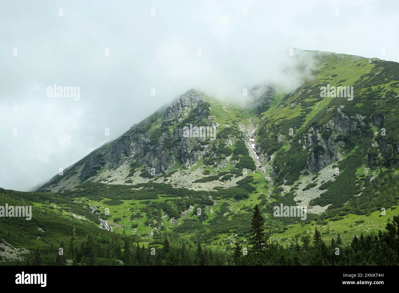 Tatra mountains national park tourist hi-res stock photography and ...