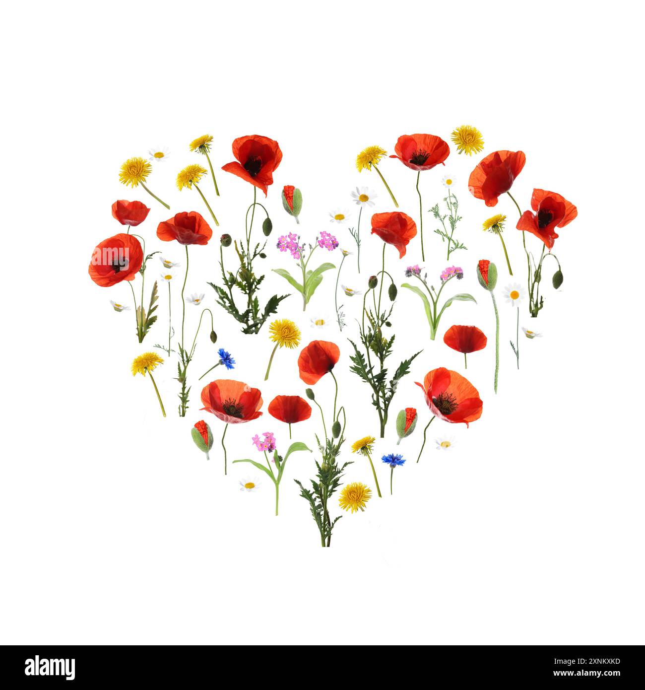 Red gradient background different Cut Out Stock Images & Pictures - Alamy