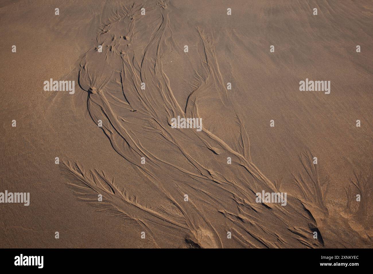 Natures sand patterns on beach after tide has gone out at Freshwater ...