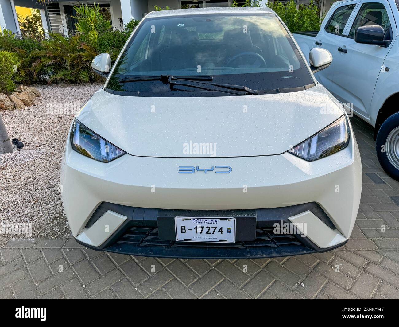 Electric byd car hi-res stock photography and images - Alamy