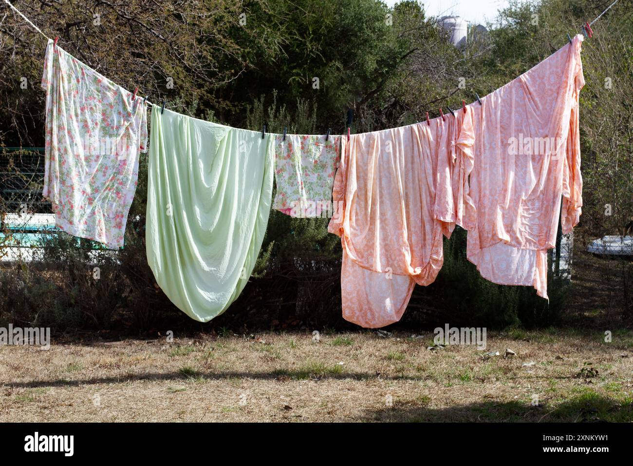Tent hanging from tree hi-res stock photography and images - Alamy