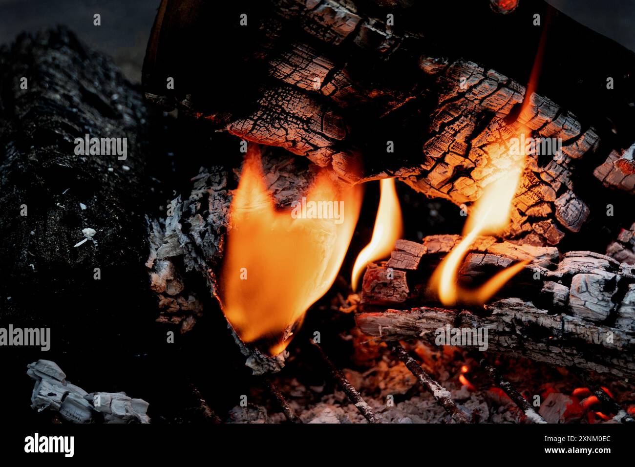 Logs burning on a fire pit in a garden in the UK, summer 2024 Stock ...