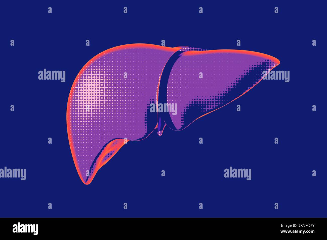 A pop art rendition of a human liver, showcased in vibrant hues of ...