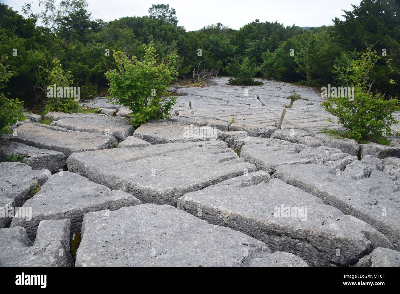 Grikes and Clints Stock Photo - Alamy