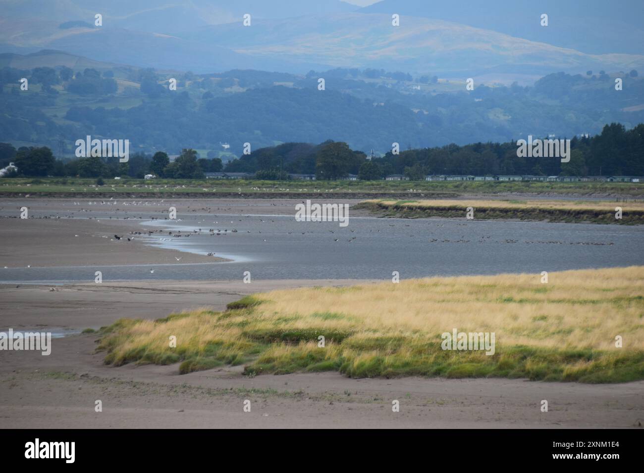 Estuary tidal riverside hi-res stock photography and images - Alamy