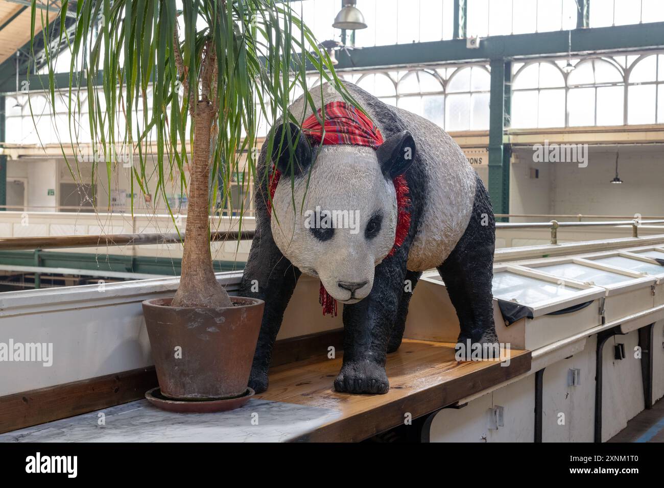 A model of a panda stands next to a palm tree, upstairs in Cardiff ...