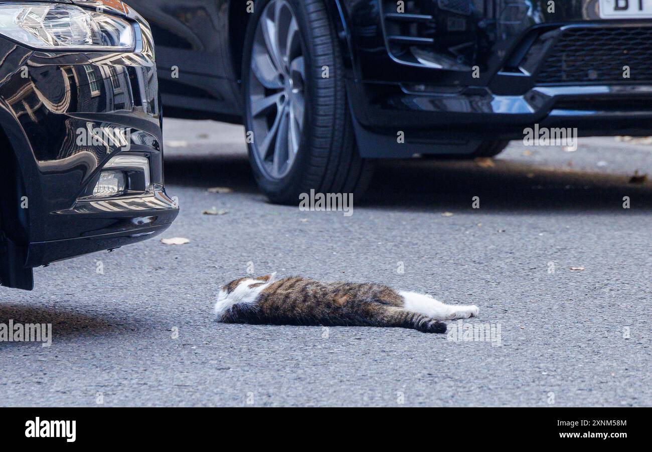 Larry the cat downimng street hi-res stock photography and images - Alamy