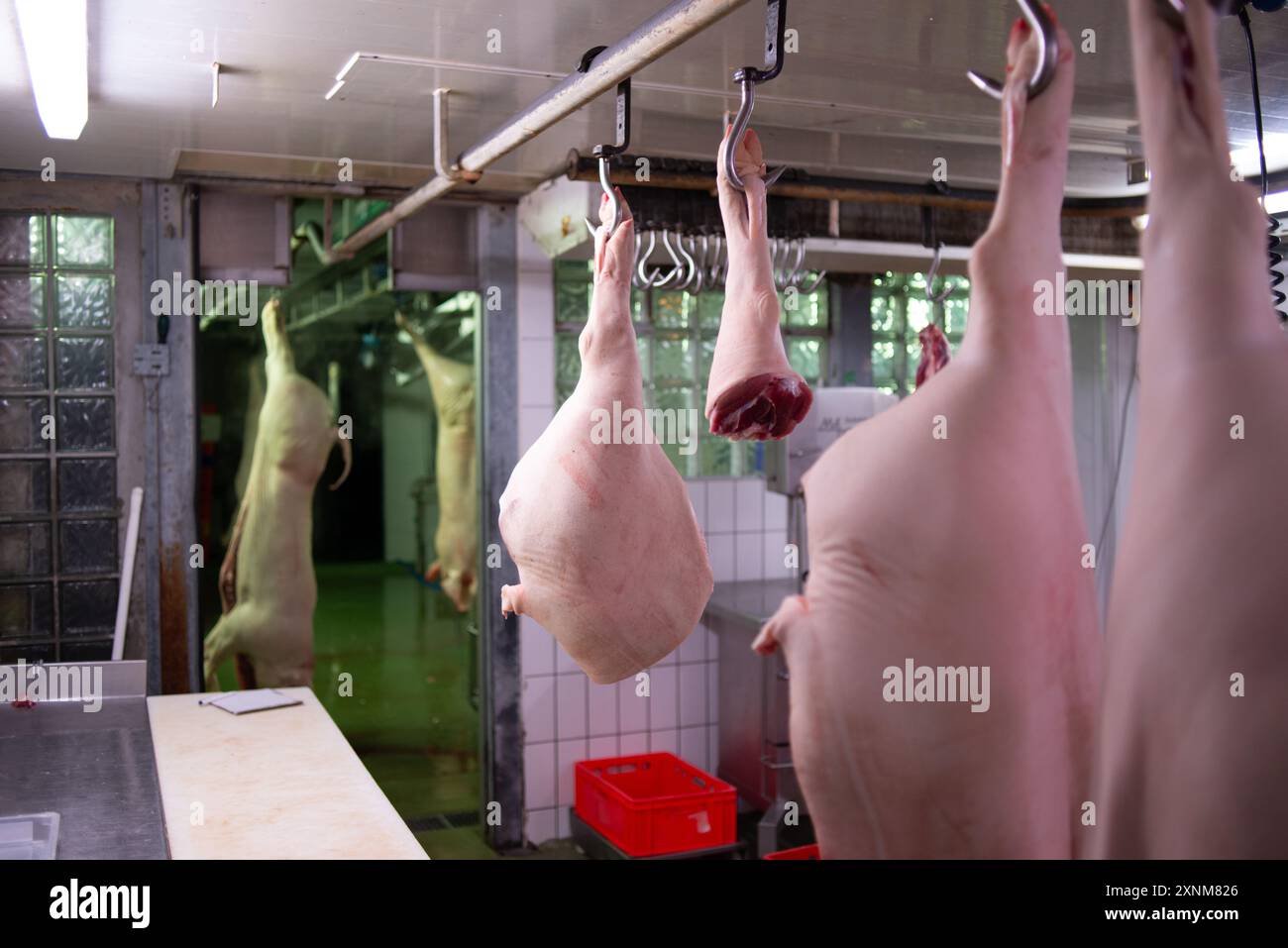 A detailed view of organic meat processing in a hygienic facility ...