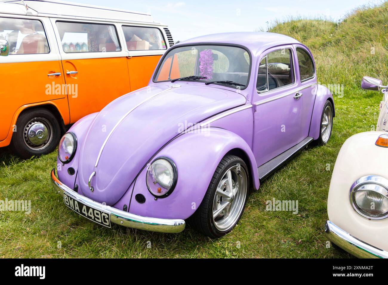classic lilac vintage volkswagen VW Type 1 Beetle Stock Photo - Alamy